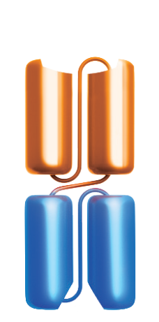 BiTE® Immuno-Oncology Platform | Amgen Oncology