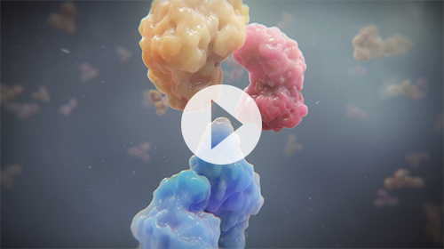 Amgen Oncology | BiTE