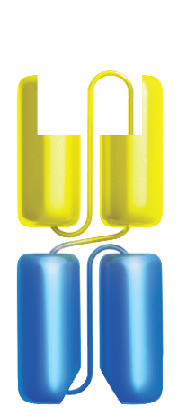 BiTE® Immuno-Oncology Platform | Amgen Oncology