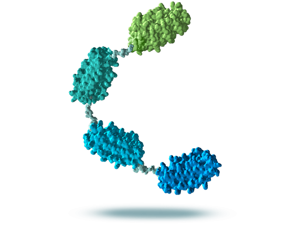 Small Molecule | Anticancer Modalities | Amgen Oncology